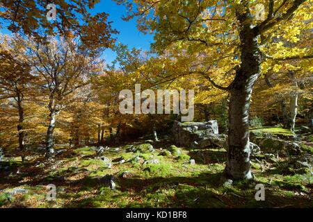 Moncayo Natural Park, Zaragoza, Aragon, Spain Stock Photo - Alamy