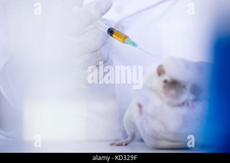 Laboratory worker injecting white rat using syringe Stock Photo - Alamy