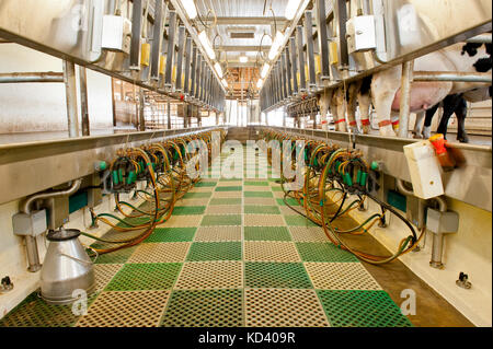 MILKING PUMPS AT AUTOMATED MILKING PARLOR Stock Photo - Alamy