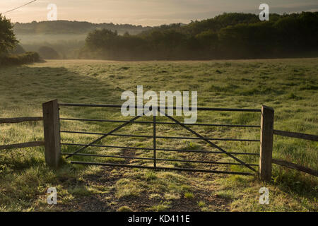 Early Morning Farm views Stock Photo - Alamy