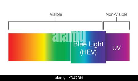 Visible light spectrum. Color waves length perceived by human eye. Rainbow electromagnetic waves ...