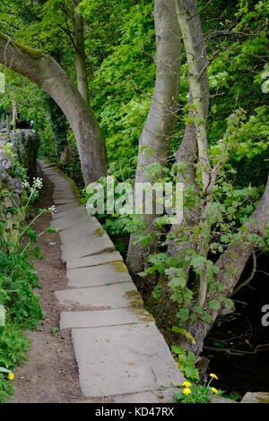 Footpath by Agden Reservoir, Bradfield, Sheffield, Peak District ...