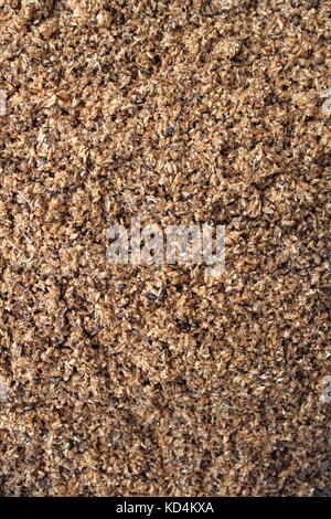 Whole Grain Milling Barley Stock Photo - Alamy