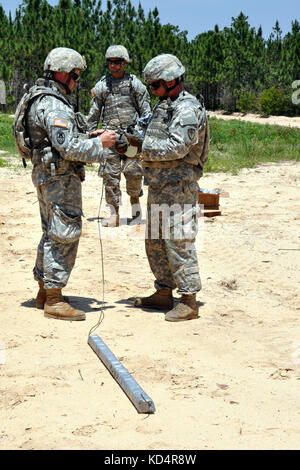 U.S. Army Soldiers with the 1222nd Engineer Company (Sapper), S.C. Army ...