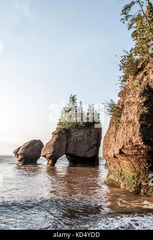 The famous Hopewell Rocks geologigal formations at low tide biggest ...