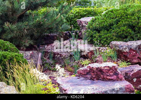 decorative alpine slide, landscape design - decorative plants in the ...