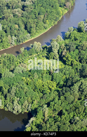 The Mura River in Slovenia in its forested floodplain Stock Photo - Alamy