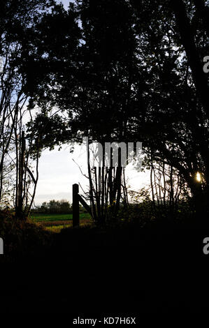 10th October 2017. Bourne, United Kingdom. Autumn in Lincolnshire ...