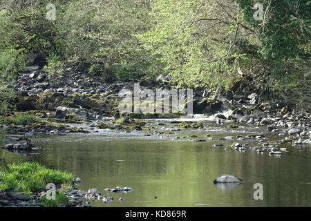 Old Bridge of Urr Stock Photo - Alamy