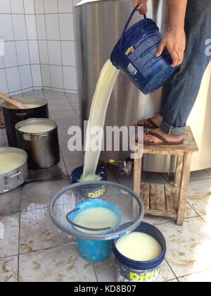 Cheesemaking in a rustic farm, draining whey Stock Photo - Alamy
