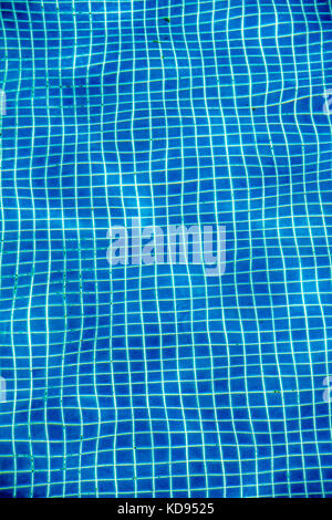 Background of wet mosaic wall decorative ornament from ceramic broken ...