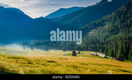 Sunrise in Valley Chocholowska, Tatra Mountains in Poland, Europe Stock ...