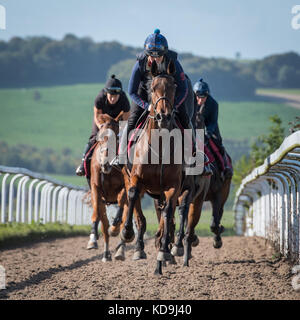 Racehorses on the Lambourn Gallops Stock Photo - Alamy