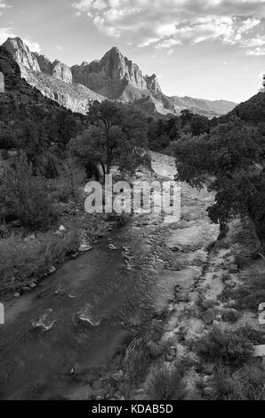 The Watchman summit at Zion National Park, Utah, USA Stock Photo - Alamy
