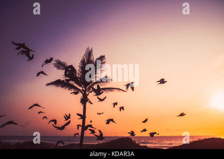 Follow the path less travelled Stock Photo - Alamy