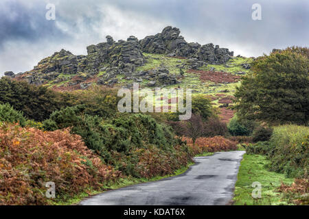 England, South Devon, Dartmoor. Hound guarding entrance to Hayford Hall ...