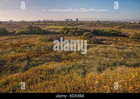 Ballona Wetlands Ecological Reserve, Playa Vista, Los Angeles ...