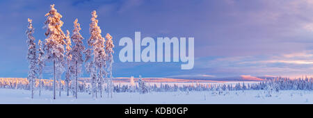 Wintry landscape in Finnish Lapland, photographed at sunset Stock Photo ...