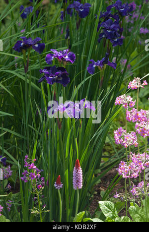 Moist flower bed Stock Photo - Alamy