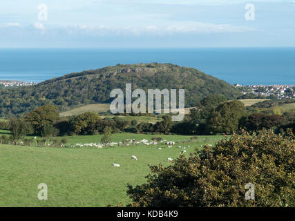 Iron Age Fort, Bryn Euryn Summit, Llandrillo yn Rhos, Colwyn Bay, Conwy ...