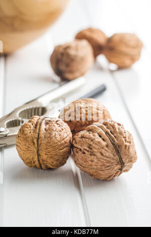 Group of walnuts and peeled walnuts on a white Stock Photo - Alamy