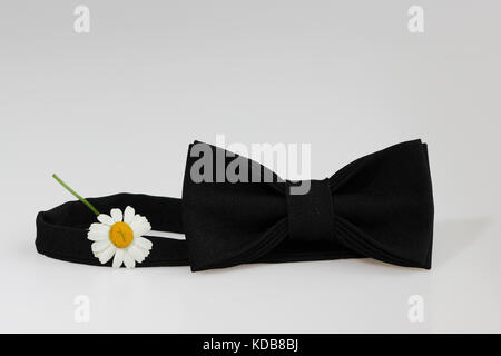 Composition: Extravagant black official classic bow tie and small ...