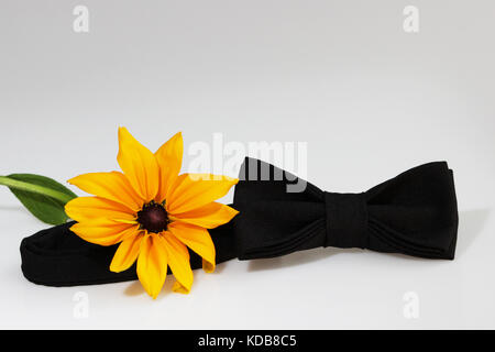 Composition: Extravagant black official classic bow tie and small ...