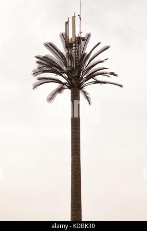 Mobile/Cell Tower disguised as a palm tree, Jumeirah, Dubai Stock Photo ...