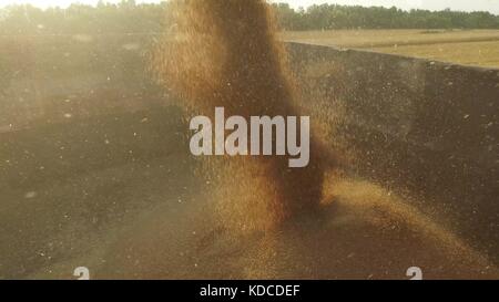 Combine architecture harvester unloading grain into a wagon. Combine ...
