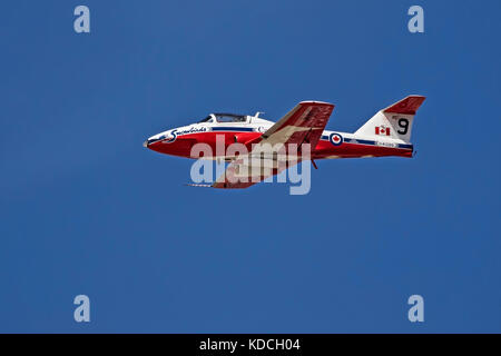 Airplanes RCAF Snowbirds jet team performing at the Huntington Beach ...