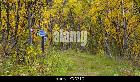 Sign poles by the side of a Navvy Road Trail. Colorful trees, forest in ...