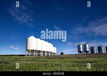 Prairie Scene Saskatchewan Stock Photo - Alamy