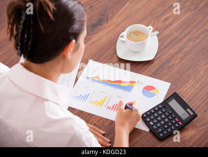 Female accountant analyzing financial data at laptops in bright home ...