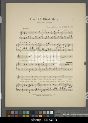 Our old blind mule (NYPL Hades 463901 1255444 Stock Photo - Alamy