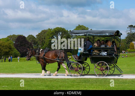 JAUNTING CART WITH TOURISTS KILLARNEY COUNTY KERRY IRELAND Stock Photo ...