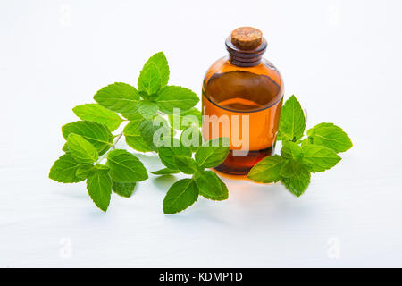 Natural Mint Essential Oil in a Glass Bottle. organic cosmetics with ...