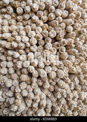 wood, outdoor, stack, stacked, dried, hardwood, piece, section, segment ...