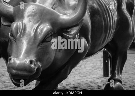 RAGING BULL STATUE (©ARTURO DI MODICA 1989) BROADWAY FINANCIAL DISTRICT MANHATTAN NEW YORK CITY ...