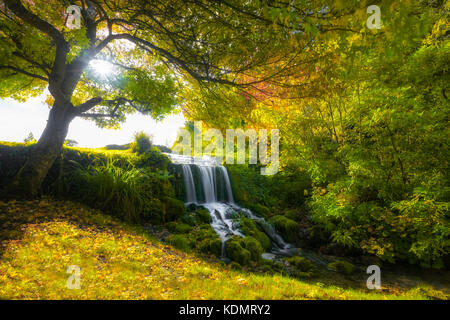 Waterfall at Littlebredy, Dorset, England Stock Photo - Alamy