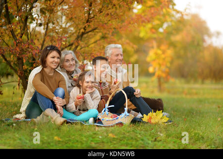 A big family on a picnic in the fall in a nature park. Happy people in ...