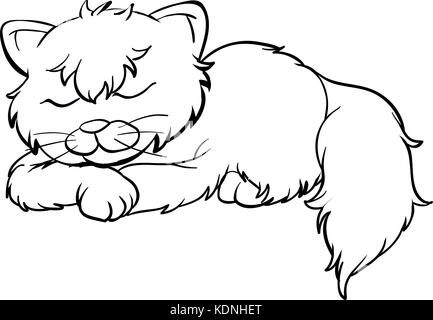 Doodles drafting animal for cat illustration Stock Vector Image & Art ...