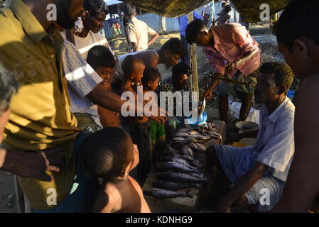 A Rohingya people sells fish at the Balukhali makeshift Camp in Cox's ...