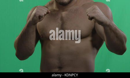 MMA fighter on a green screen. Muscular man on green screen. Green ...