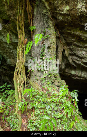 Small stone cave in the forest. Cozy place under the rocks. Shelter ...