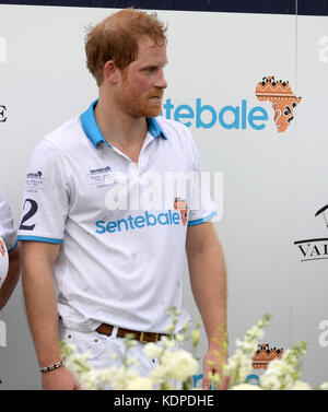 WELLINGTON, FL - MAY 04: Melissa Ganzi, Prince Harry, Malcolm Borwick ...