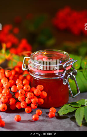 Rowan Berry Jelly made in Autumn Stock Photo - Alamy