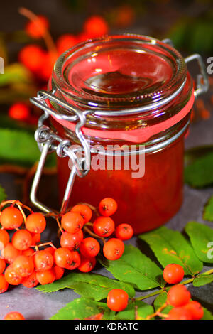 Rowan Berry Jelly made in Autumn Stock Photo - Alamy
