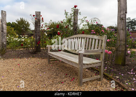 Bench in a rose garden Stock Photo - Alamy
