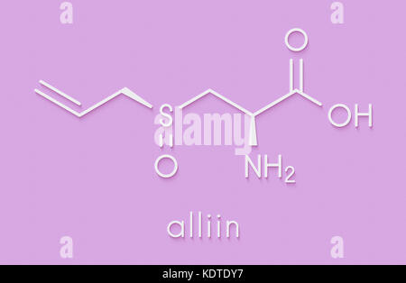 Alliin garlic molecule. Skeletal formula Stock Vector Art ...