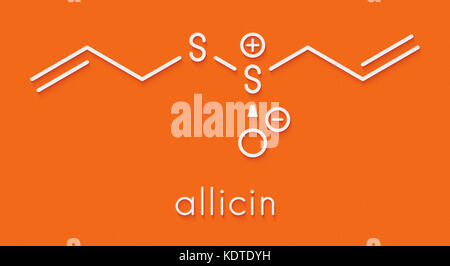 Alliin garlic molecule. Skeletal formula Stock Vector Art ...